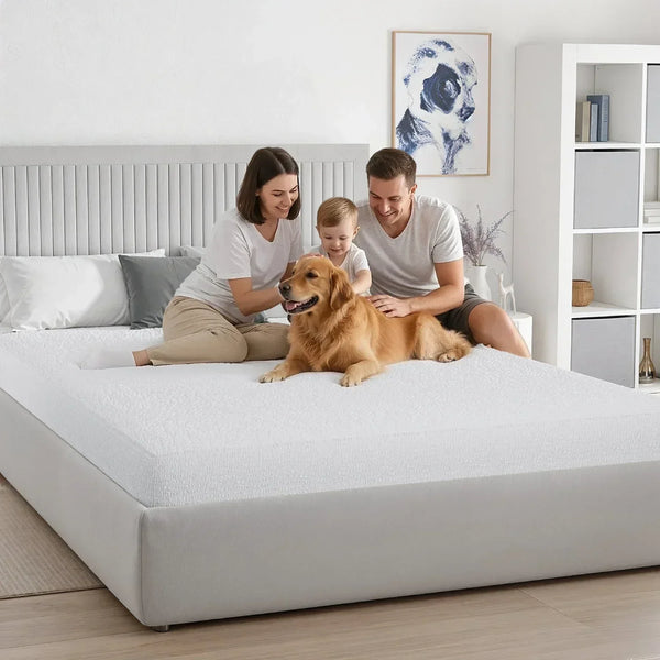 The Best Waterproof Mattress Protector: Complete Buying Guide